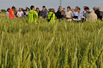 Nieuwe teelttechnieken helpen bio vooruit | ccbt