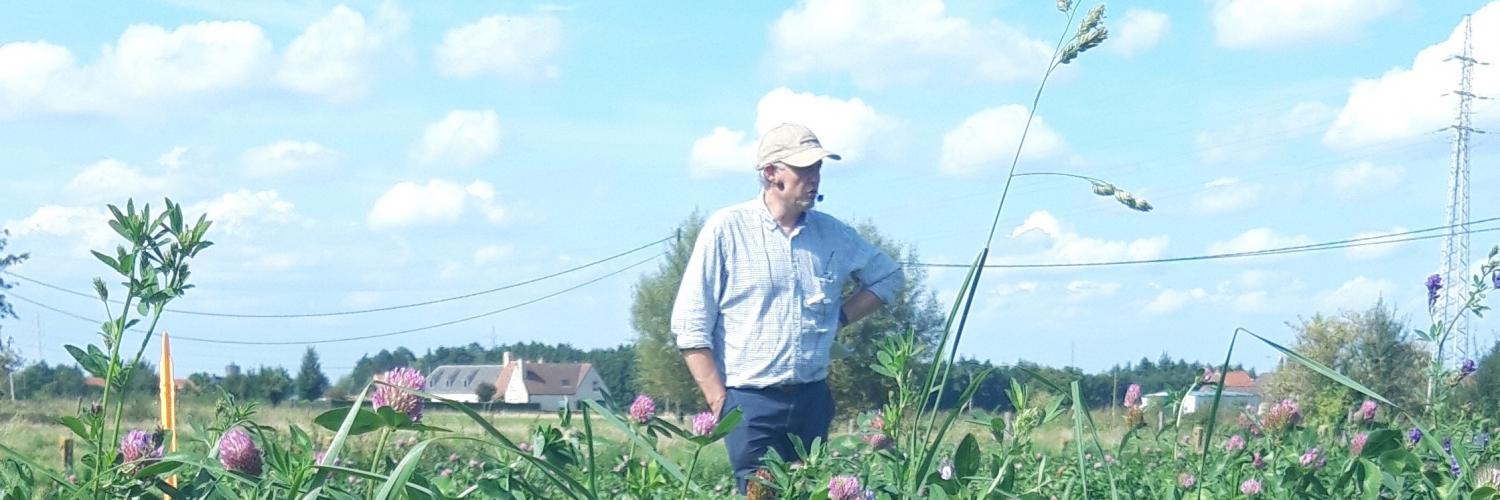 Kruidenrijk grasklaver: voordelen voor boer en koe | ccbt Kruidenrijk grasklaver: voordelen voor boer en koe | ccbt