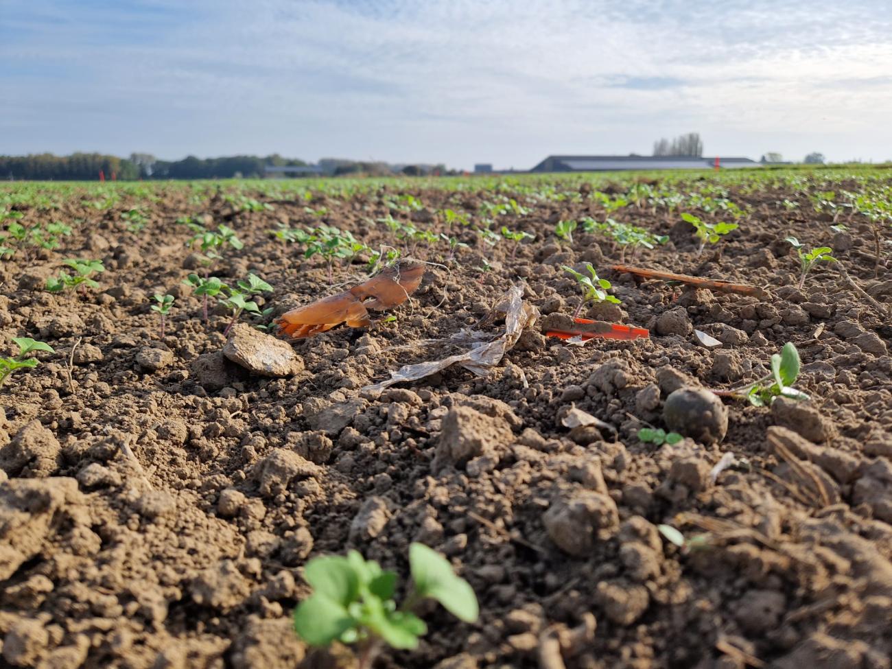 Benieuwd hoeveel microplastieks zich bevinden in jouw akkergrond? | ccbt