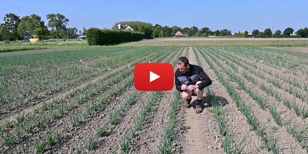 Bio@Inagro deel 3: eindelijk voluit uit de startblokken | ccbt