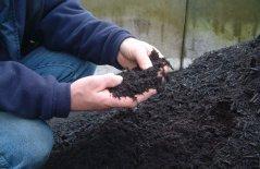 Belang van organische bemesting duidelijk na 12 jaar | ccbt