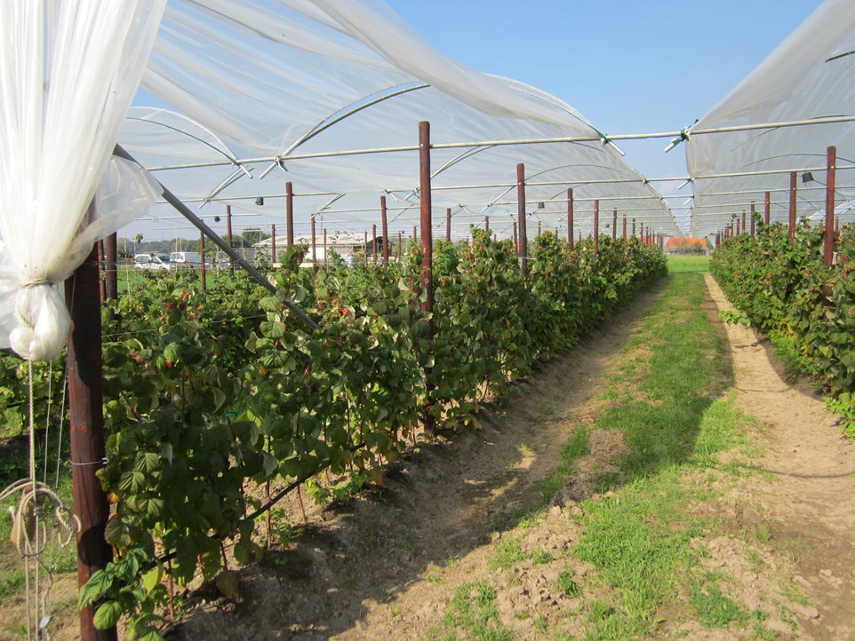 Nieuwe CCBT-projecten van start | ccbt