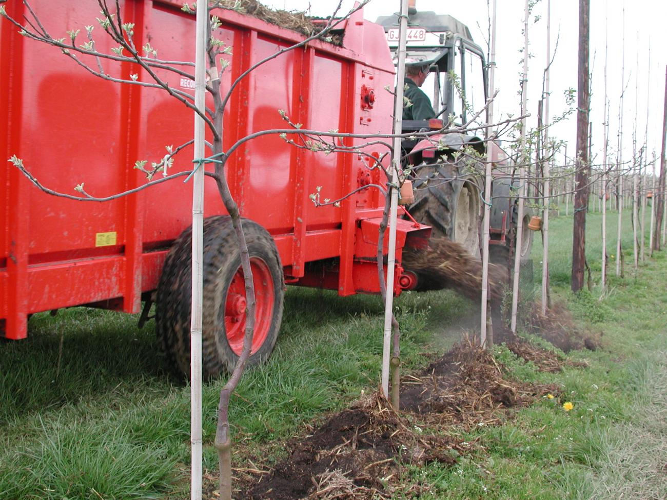 Vergelijking van verschillende types van bemesting in een biologische ...