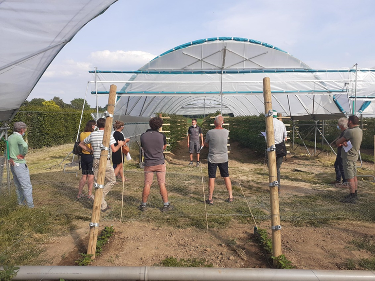 Proefveldbezoek Proefcentrum Pamel | ccbt